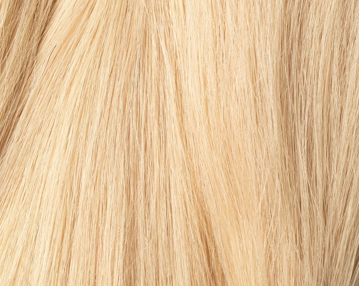 10/16 Very Light Blonde Lightening Ash Purple – Dreadradar